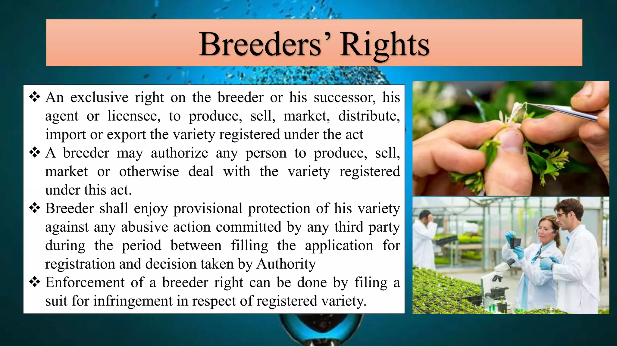 Intellectual Property Rights in Plant Breeding | PPTX