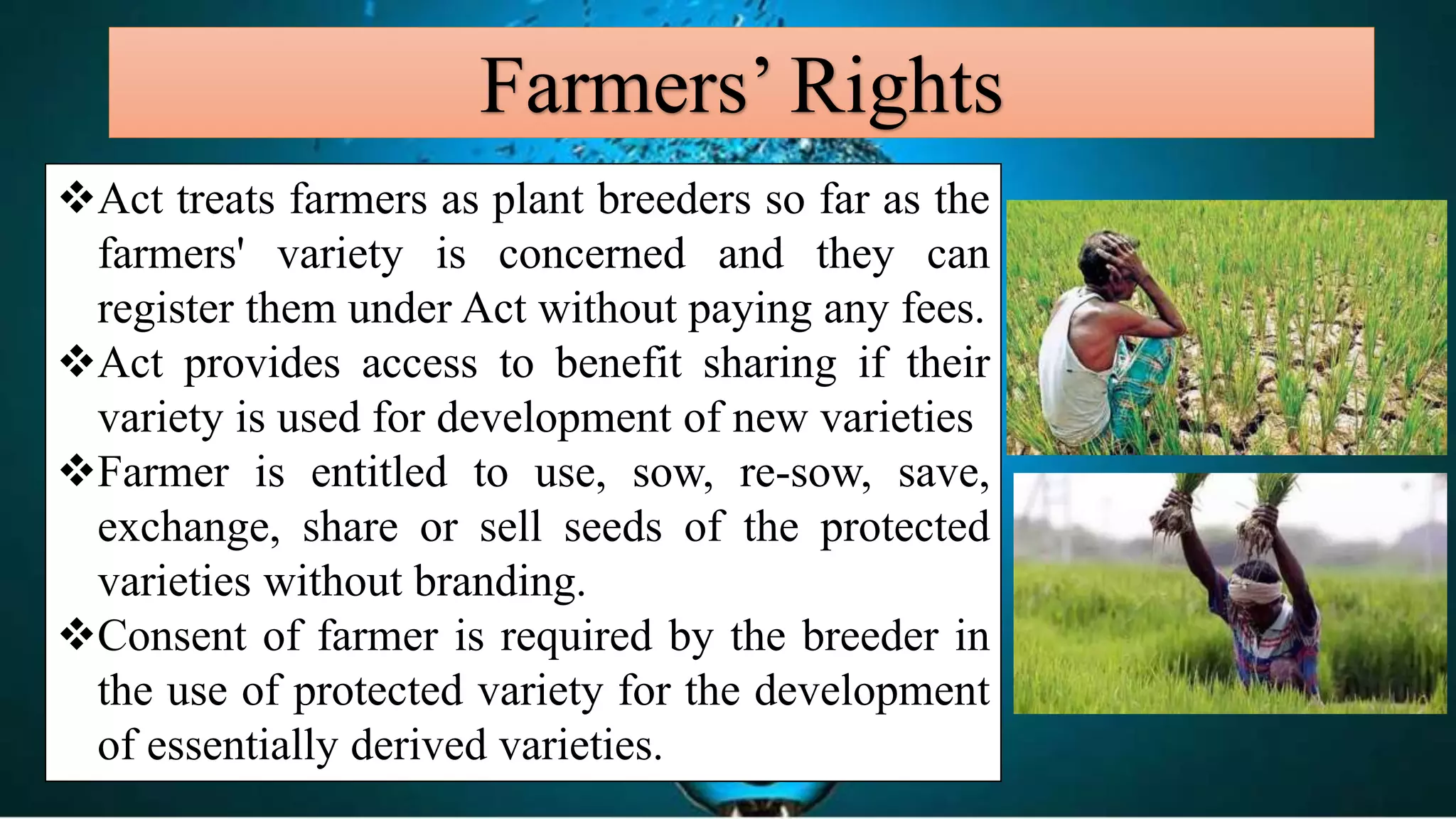 Intellectual Property Rights in Plant Breeding | PPTX