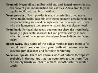 clove and neem for oral care | PPTX