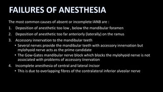 Inferior Alveolar Nerve Block | PPTX