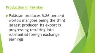 Mango Production (SAFEER MEHDI SAU TANDOJAM) | PPTX