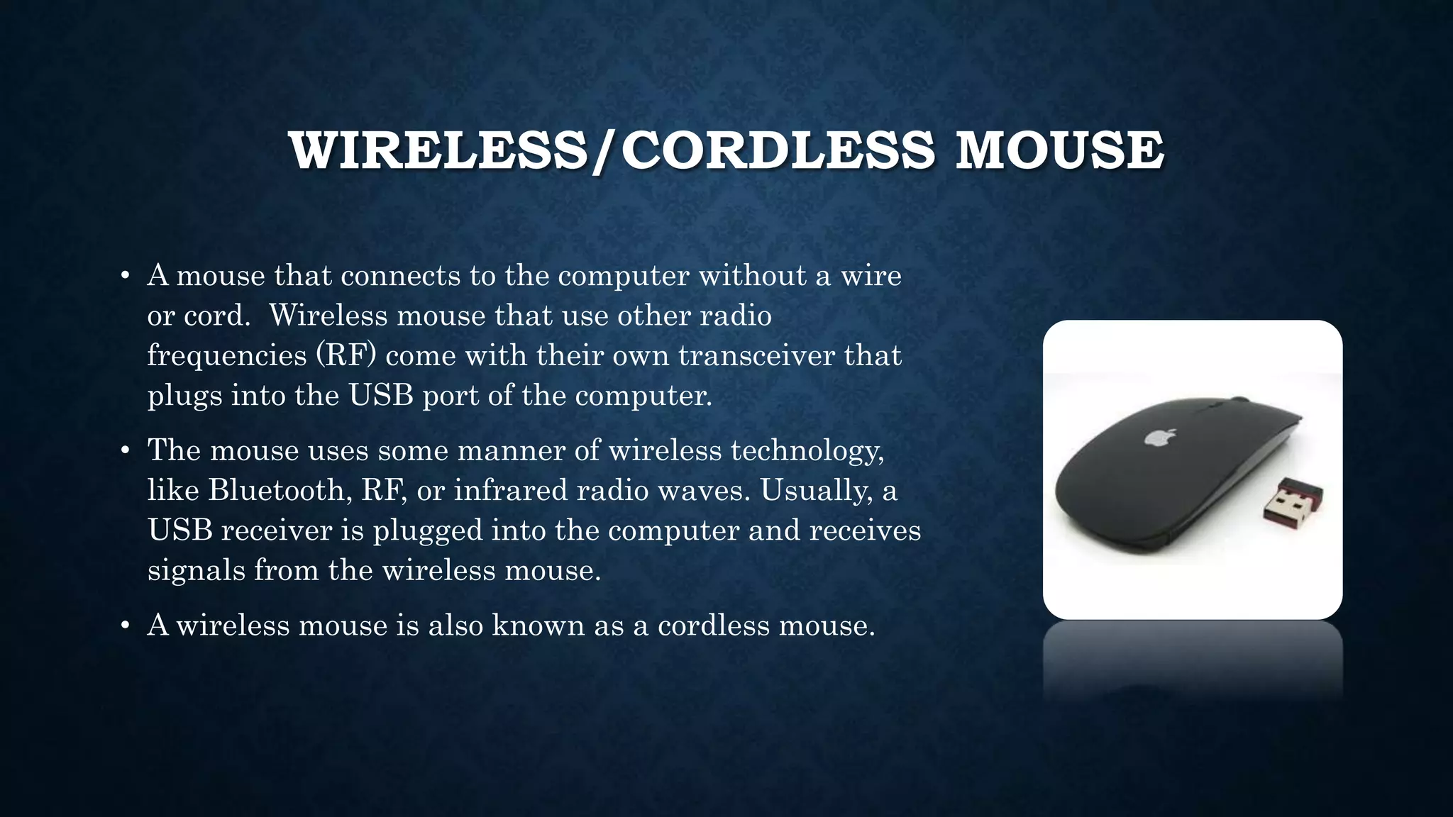 Presentation on Mouse | PPTX