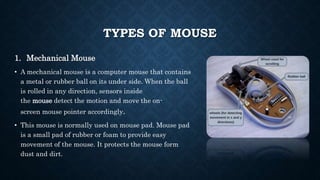 Presentation on Mouse | PPTX