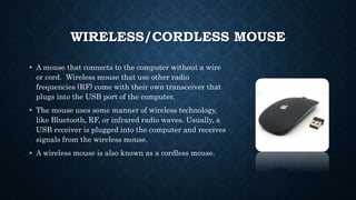 Presentation on Mouse | PPTX