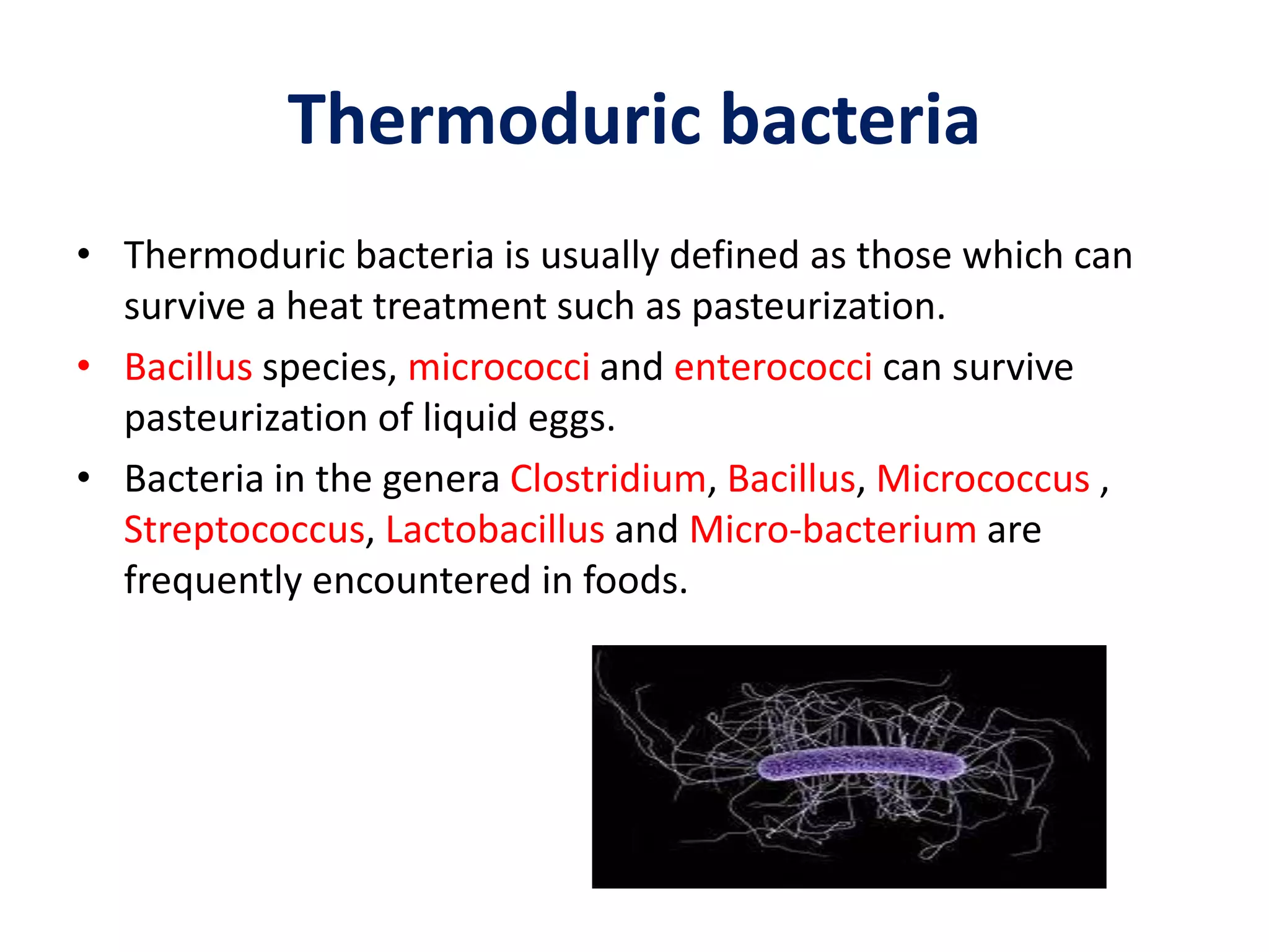 GROUPS of bacteria importance in food microbiology | PPTX