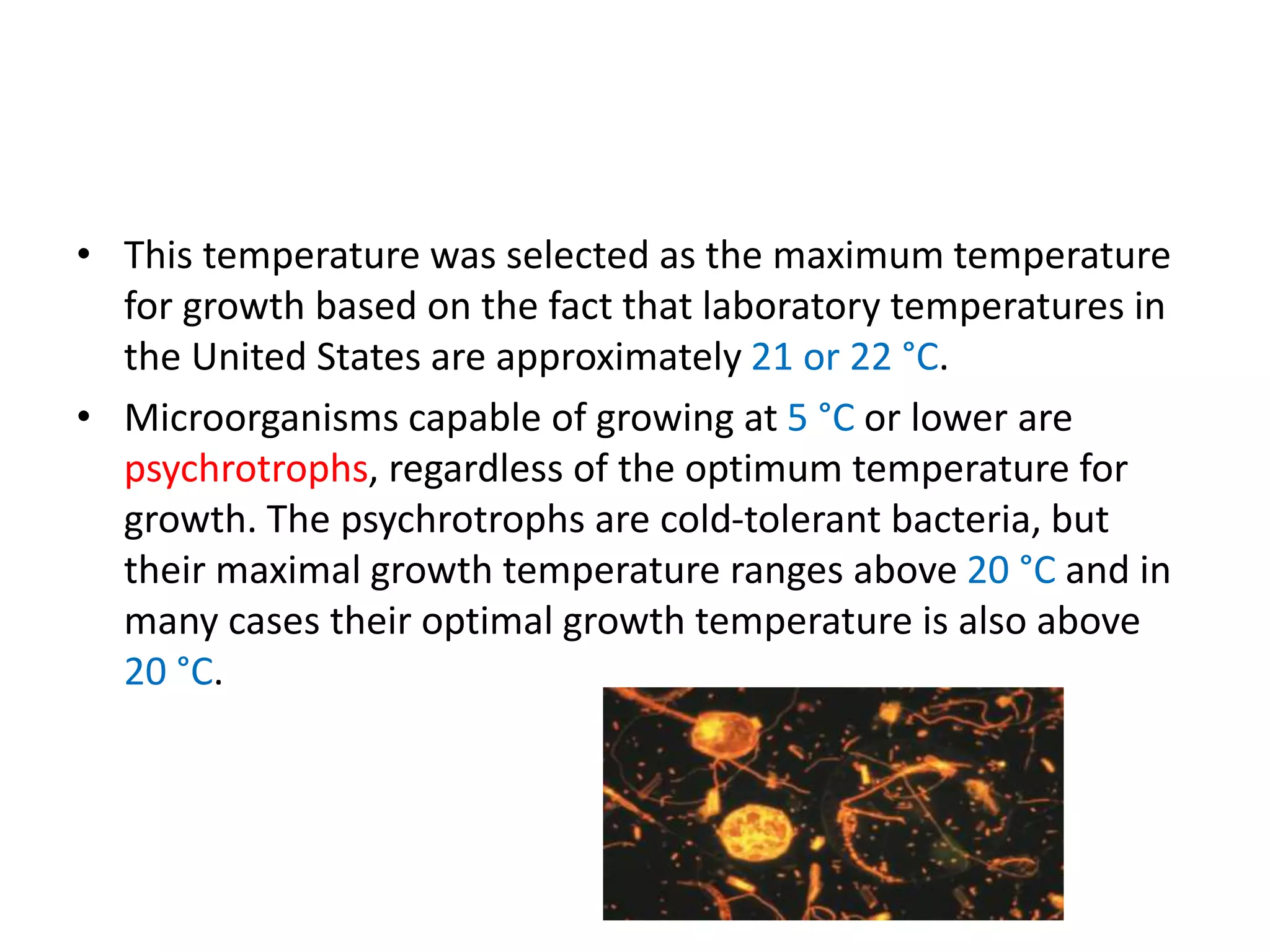 GROUPS of bacteria importance in food microbiology | PPTX
