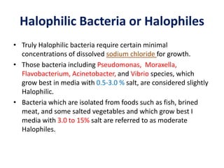 GROUPS of bacteria importance in food microbiology | PPTX