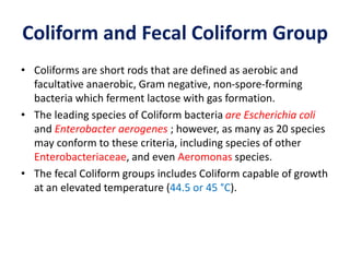 GROUPS of bacteria importance in food microbiology | PPTX
