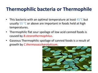 GROUPS of bacteria importance in food microbiology | PPTX