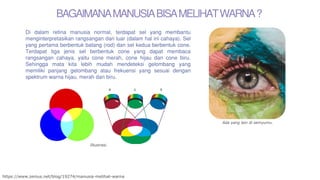 Pertemuan 5 teori warna - tim adma | PDF
