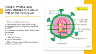 classification of virus | PPTX