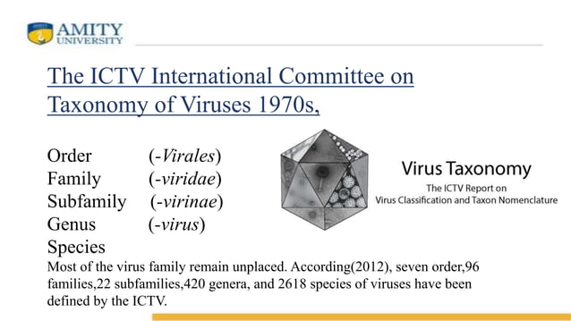 classification of virus | PPTX | Genetics | Science