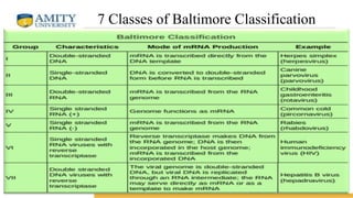 classification of virus | PPTX