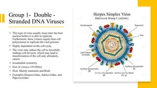 classification of virus | PPTX