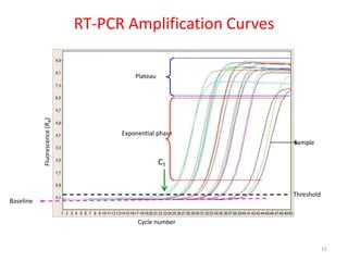 Polymerase Chain Reaction | PPT