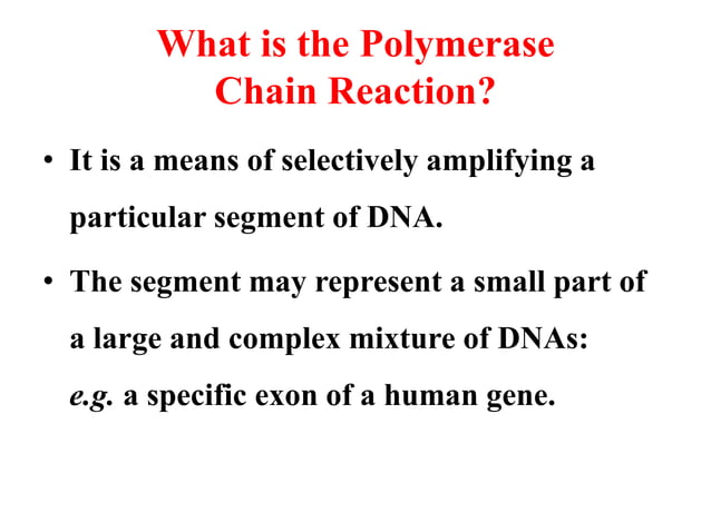 Polymerase Chain Reaction | PPT