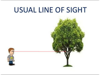 Height and Distance | PPTX