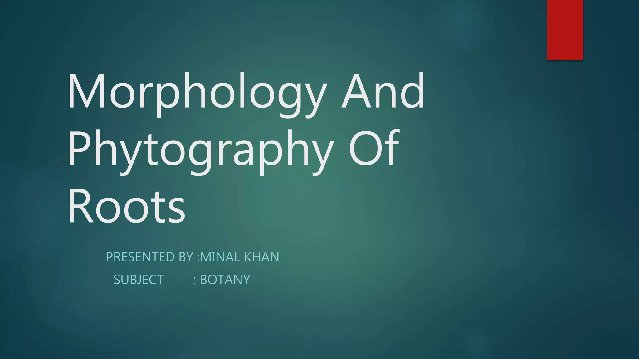 Presentation of roots | PPT | Free Download