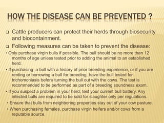 trichomoniasis | PPTX