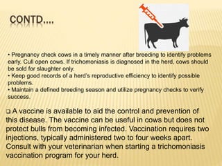trichomoniasis | PPTX