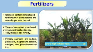 Fertilizers in Agriculture | PPTX