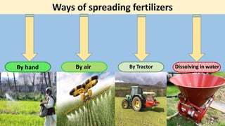 Fertilizers in Agriculture | PPT