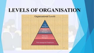 Types and levels of organisation | PPTX
