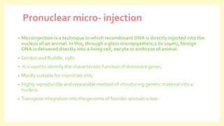 transgenic animals | PPT
