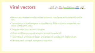 transgenic animals | PPT