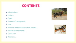 transgenic animals | PPTX
