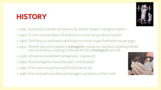 transgenic animals | PPTX