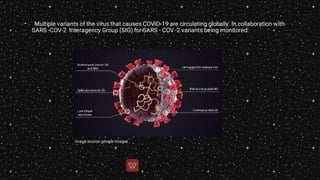 New strains of corona virus | PPT