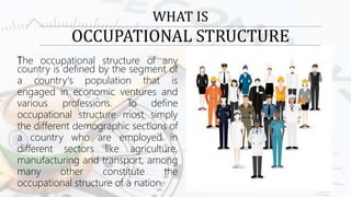 Presentation1:- Occupational Structure Of Indian Economy | PPT