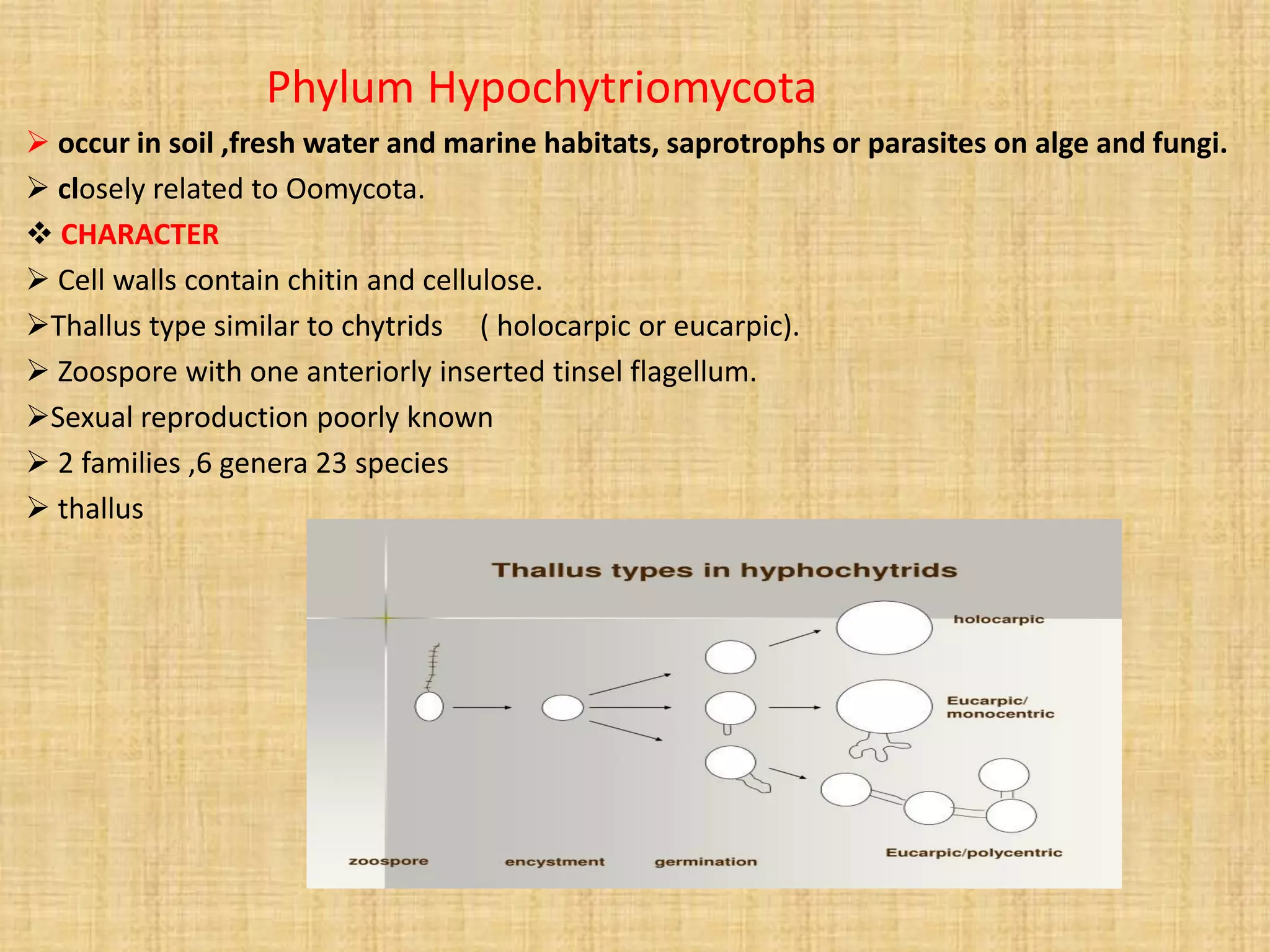 mycology | PDF