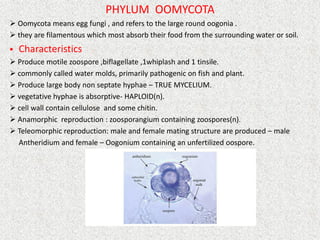 mycology | PDF