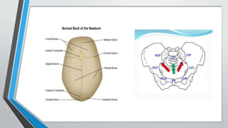 Malpresentation & Malpositioning | PPTX