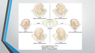 Malpresentation & Malpositioning | PPTX