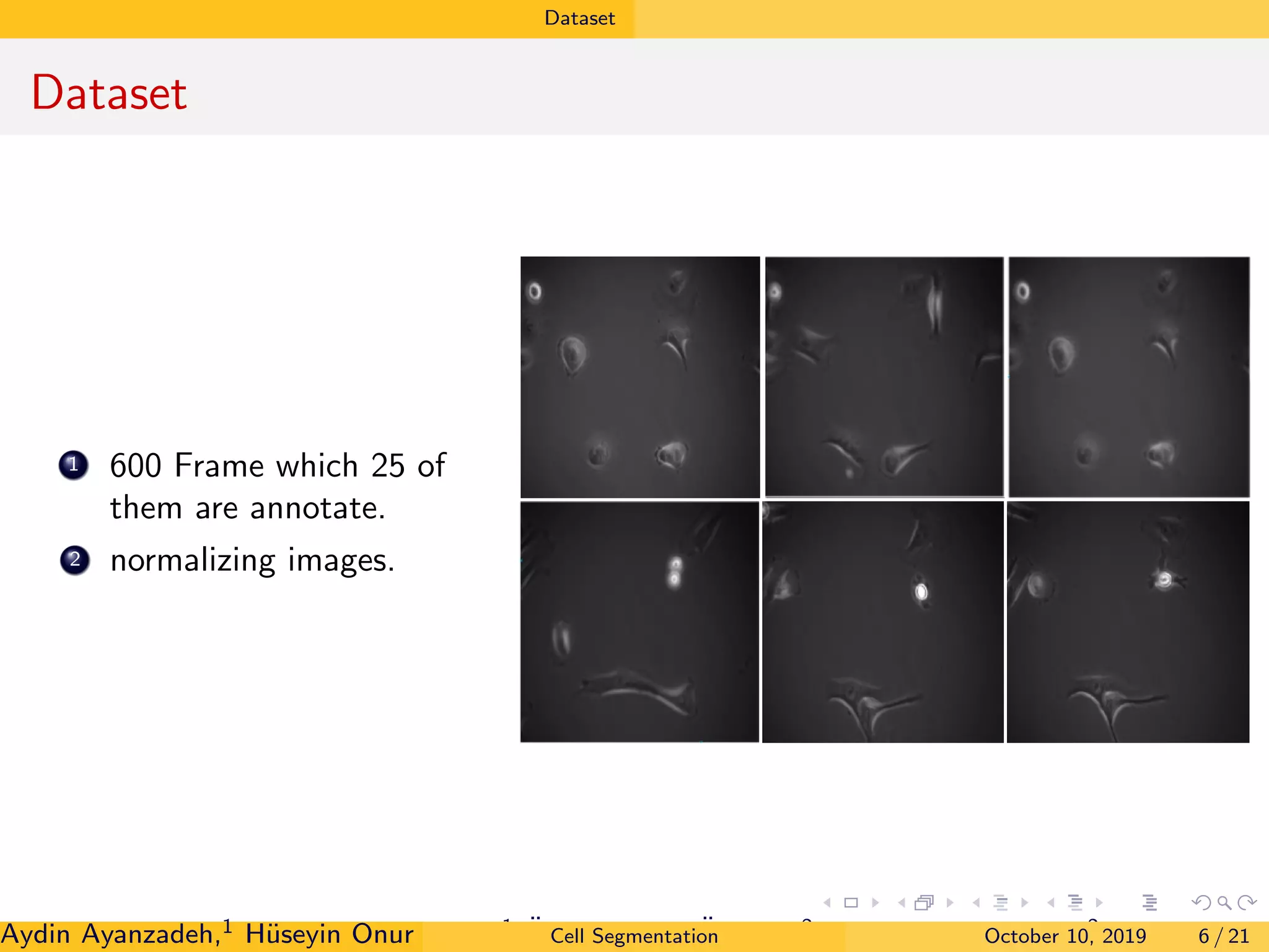 Cell Segmentation of 2D Phase-Contrast Microscopy Images with Deep ...
