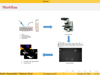 Cell Segmentation of 2D Phase-Contrast Microscopy Images with Deep ...
