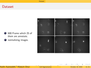 Cell Segmentation of 2D Phase-Contrast Microscopy Images with Deep ...