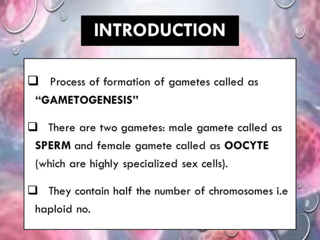 Gametogenesis (spermatogenesis and oogenesis) | PPTX