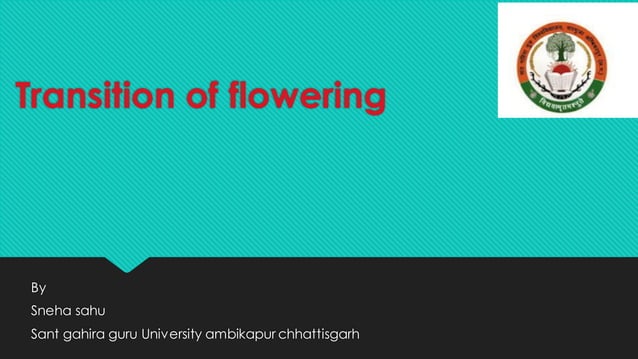 Transition o of flowering plants | PDF | Gardening | Home & Garden