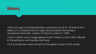 Transition o of flowering plants | PDF | Gardening | Home & Garden