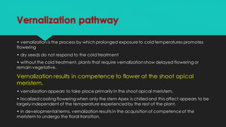 Transition o of flowering plants | PDF | Gardening | Home & Garden