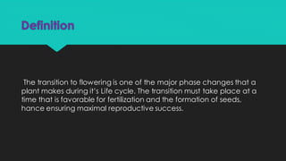 Transition o of flowering plants | PDF | Gardening | Home & Garden