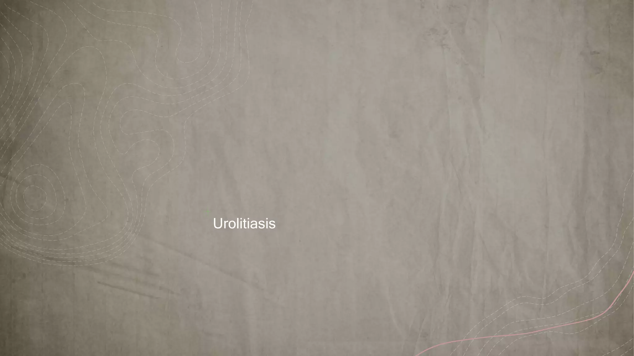 Presentation1 | PPT | Free Download