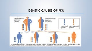 Phenylketonuria | PDF