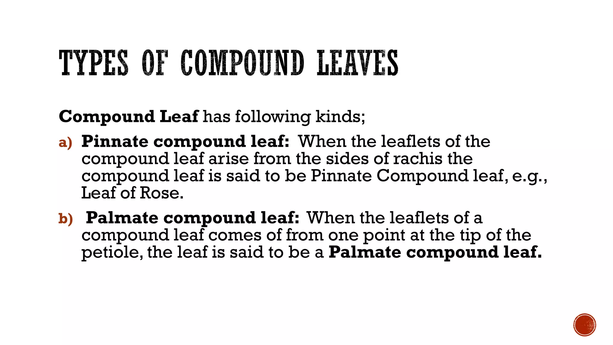 TYPES OF LEAF | PDF | Gardening | Home & Garden