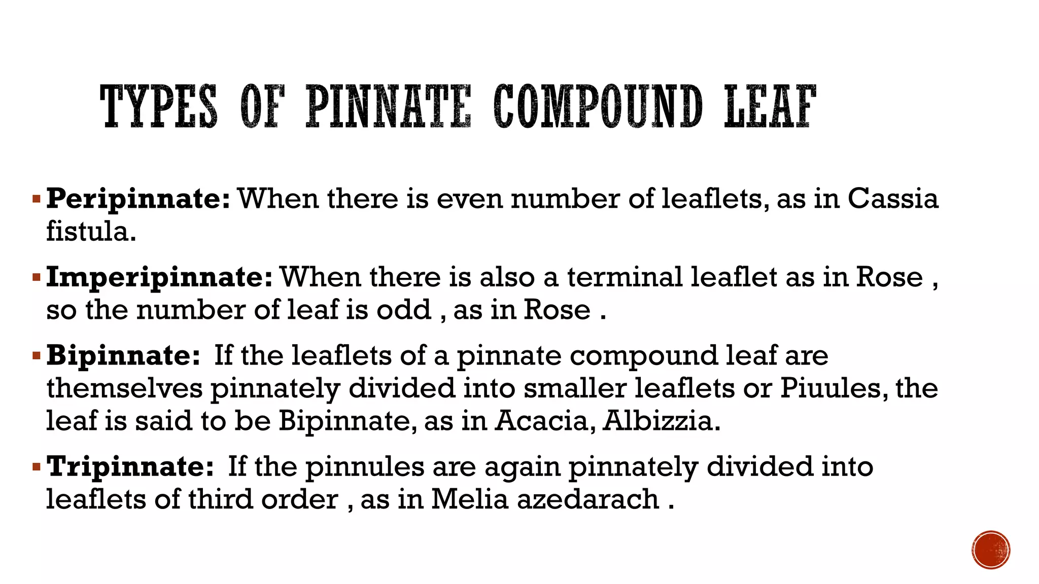 TYPES OF LEAF | PDF