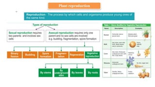 Plant reproduction | PPT